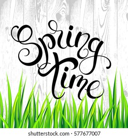 Spring Time Handwritten Calligraphy Lettering Grass Stock Vector ...