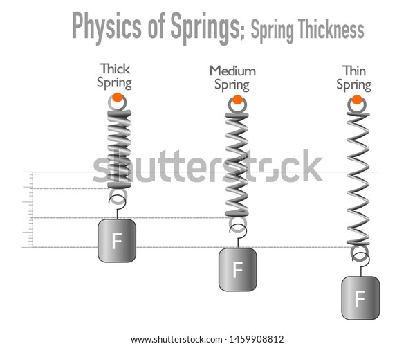Springs Fineness Thickness Hookes Low Spring Stock Vector (Royalty Free ...