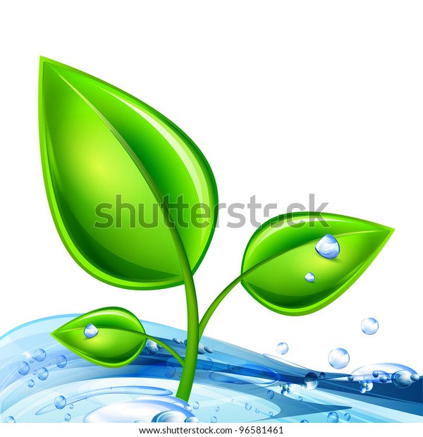 Sprout Water Vector Illustration Part Set Stock Vector (Royalty Free ...