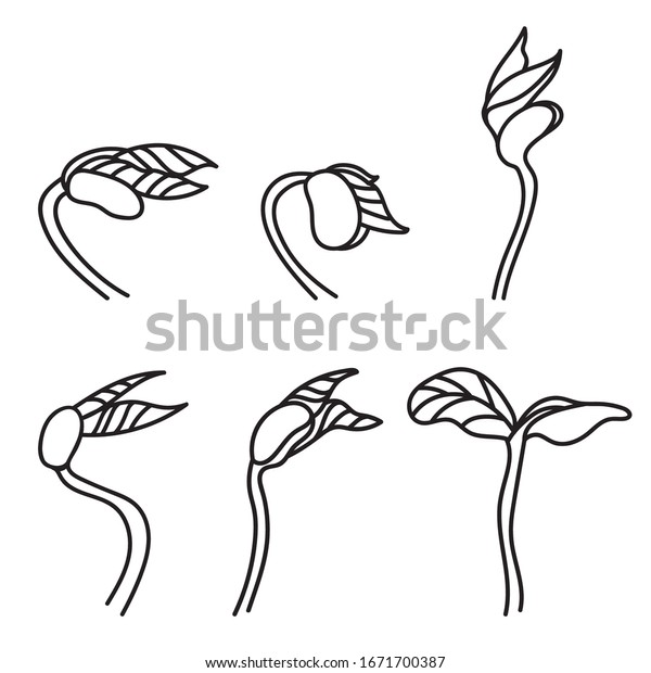Sprouts Collection Vector Illustration Doodle Style Stock Vector ...
