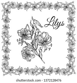 Square Frame Tiger Lily Flowers Set Stock Vector (Royalty Free ...