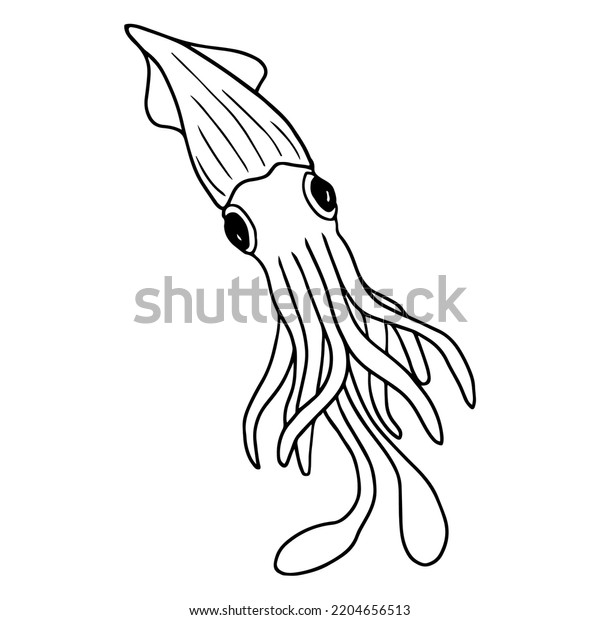 Squid Black Outline Vector Isolated Illustration Stock Vector (Royalty ...