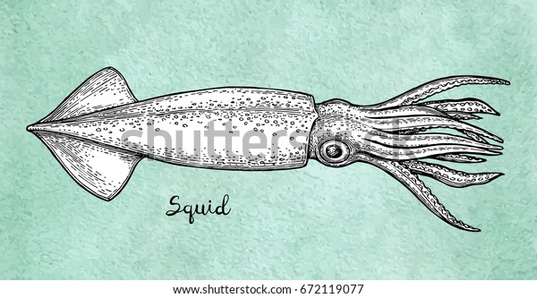 Squid Ink Sketch On Old Paper Stock Vector (Royalty Free) 672119077 ...