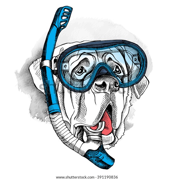 St Bernard Portrait Blue Diving Mask Stock Vector (Royalty Free) 391190836