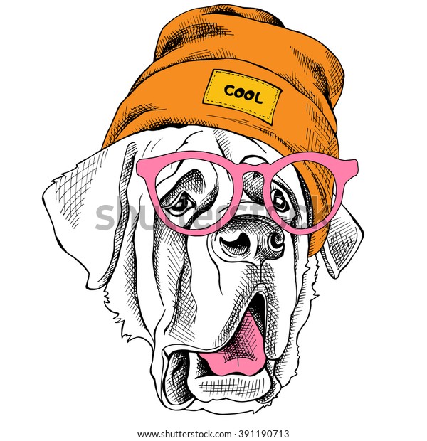 St Bernard Portrait Hipster Hat Glasses Stock Vector (Royalty Free ...