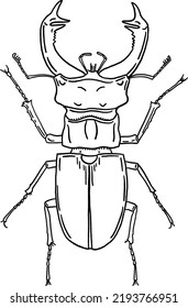 Stag Beetle Hand Drawn Line Art Stock Vector (Royalty Free) 2193766951 ...