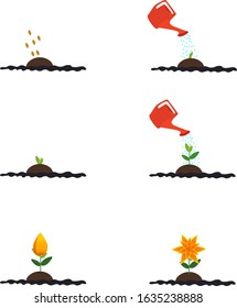 Stages Growing Flower Vector Illustration Cartoon Stock Vector (Royalty ...