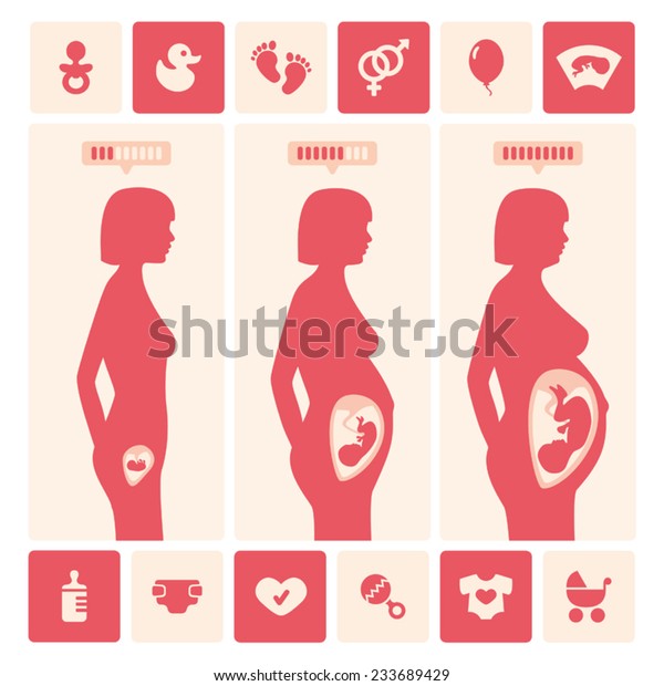Stages Pregnancy Icons Set Stock Vector (Royalty Free) 233689429
