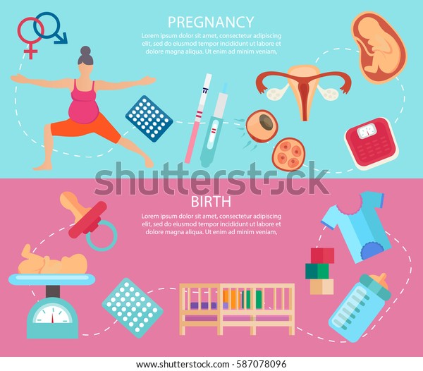 「Stages Pregnancy Pregnancy Planning Conception Pregnancy」のベクター画像素材 ...