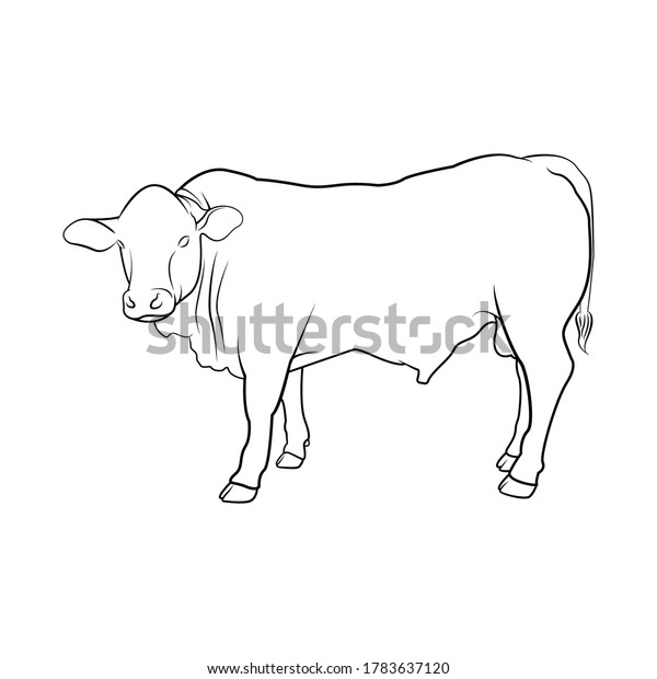 Stand Cow Side View Line Art Stock Vector (Royalty Free) 1783637120 ...