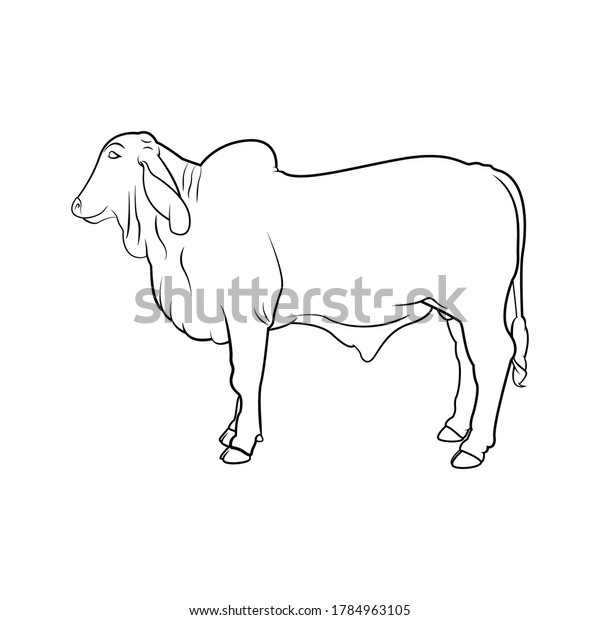 Stand Cow Side View Line Art Stock Vector (Royalty Free) 1784963105 ...