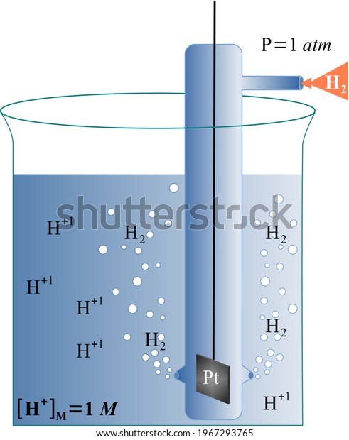 Standard Hydrogen Electrode Reference Electrode Stock Vector (Royalty ...
