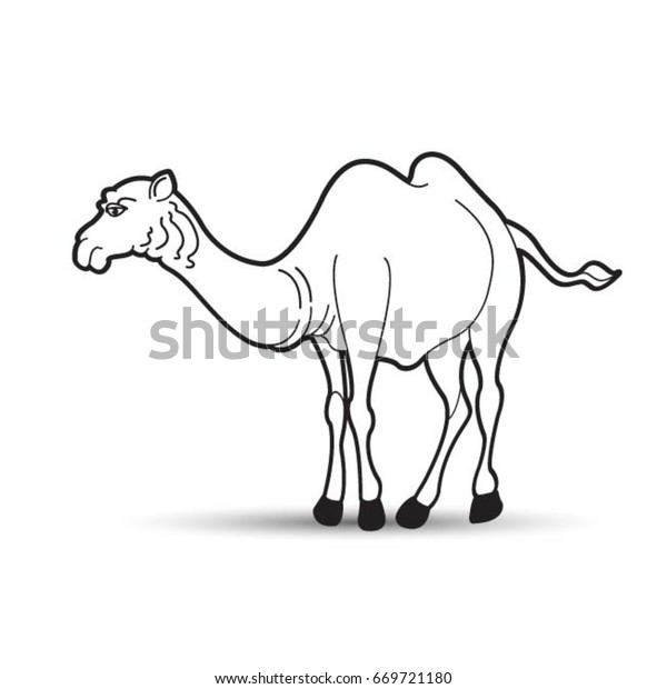 Standing Camel Black Outlinevector Drawing Stock Vector (Royalty Free ...