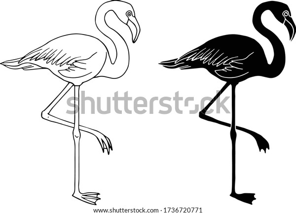 Standing Flamingo Line Drawing Vector Illustration Stock Vector ...