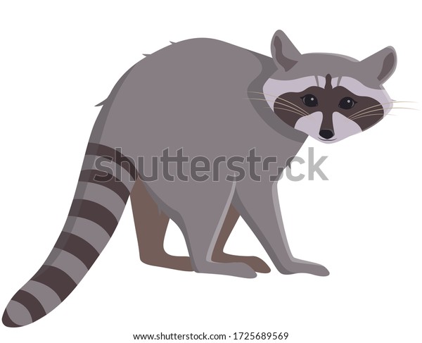 Standing Raccoon Side View Cute Animal Stock Vector (Royalty Free ...