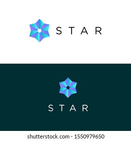 Star Logo Hexagon Angles Crystals Logo Stock Vector (Royalty Free ...