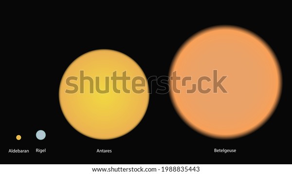 Stars Sizes Comparison Comparison Different Stars: เวกเตอร์สต็อก (ปลอด ...