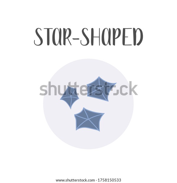 Star-shaped bacteria. Irregular shapes of bacteria. Types and different ...