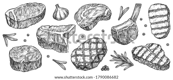 Steak Sketch Hand Drawn Beef Lamb Stock Vector (Royalty Free) 1790086682
