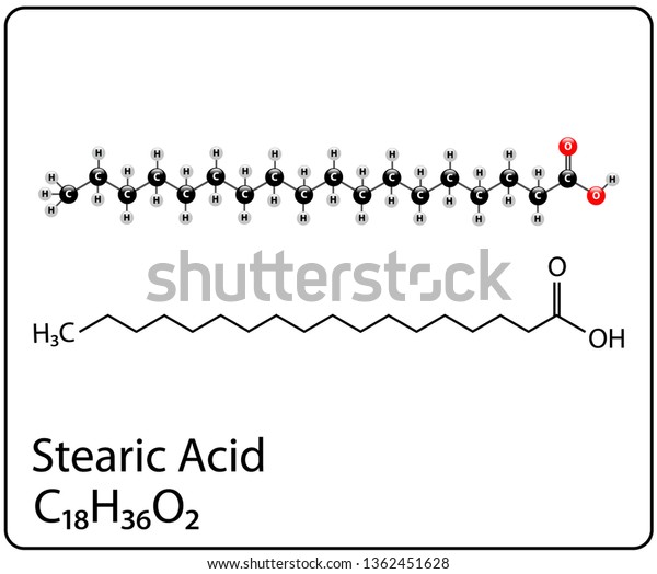 Stearic Fatty Acid Molecule Structure 库存矢量图（免版税）1362451628 | Shutterstock