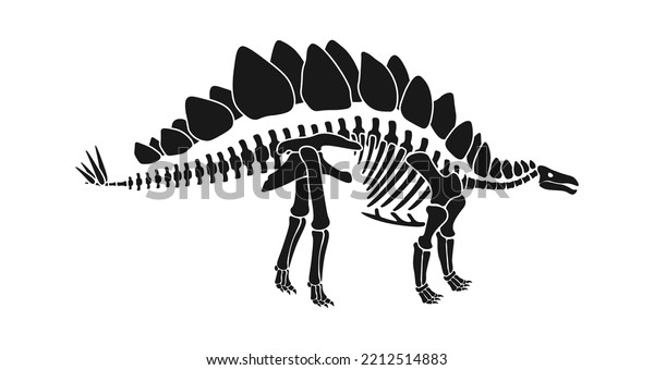 Stegosaurus Skeleton Prehistoric Animal Vector Illustration Stock ...