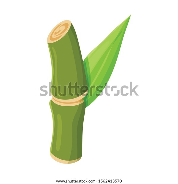 Stem Sugar Cane Vector Iconcartoon Vector Stock Vector (Royalty Free ...