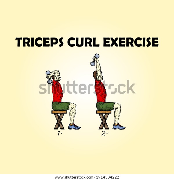 Step By Step Series Triceps Curl Stock Vector (Royalty Free) 1914334222 ...