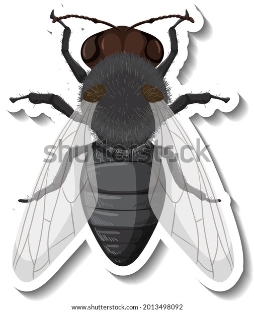 Sticker Template Top View Fly Isolated Stock Vector (Royalty Free ...