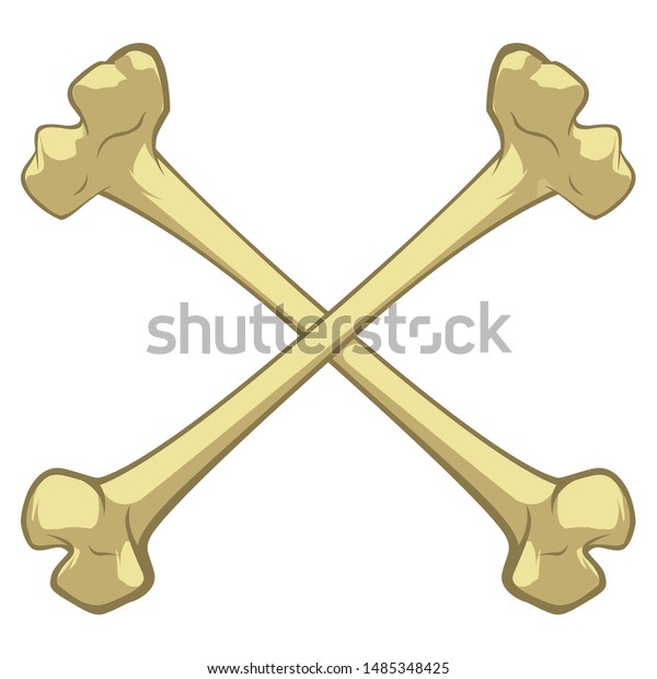 Sticker Vector Illustration Human Bone Cross Stock Vector (Royalty Free ...