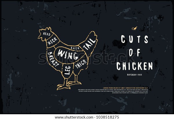 Stock Vector Chicken Cuts Diagram Style Stock Vector (Royalty Free ...