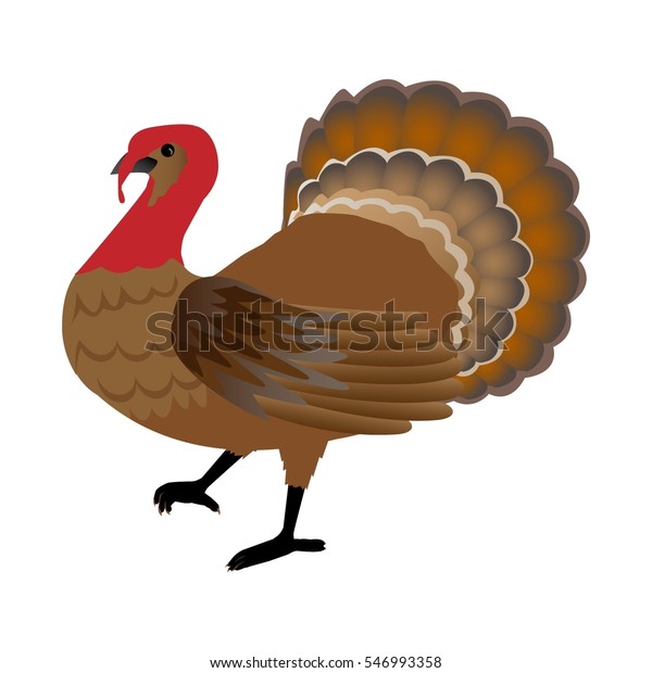 Stock Vector Turkey Illustration Stock Vector (Royalty Free) 546993358