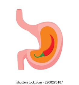 Stomach Red Pepper Fire Gas Gastric Stock Vector (Royalty Free ...
