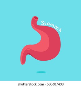 Stomach Vector Illustration Stock Vector (Royalty Free) 580687438 ...