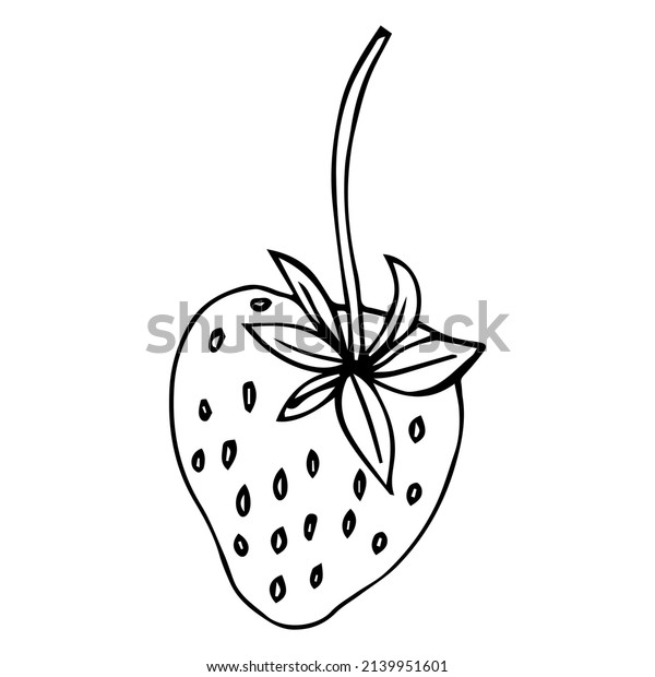 Strawberry Outline Vector Black Line Fruit Stock Vector (Royalty Free ...