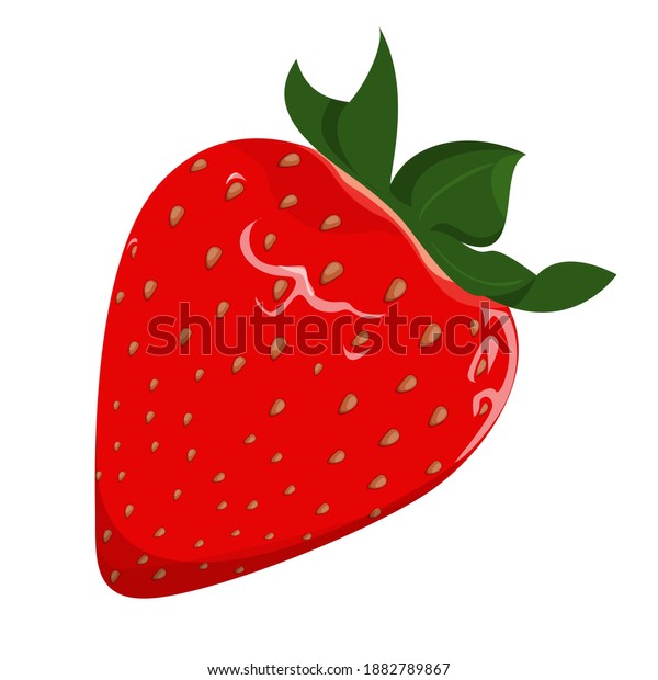 Strawberry Vector Isolated Sweet Fresh Dessert Stock Vector (Royalty ...