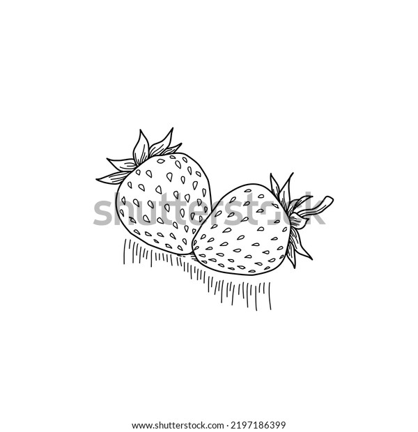 Strawberry Vector Line Art Illustration Your Stock Vector (Royalty Free ...
