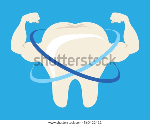 Strong Tooth Muscle Illustration Stock Vector (Royalty Free) 560422411