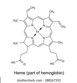 Structural Chemical Formula Heme Molecule 2d Stock Vector (Royalty Free ...