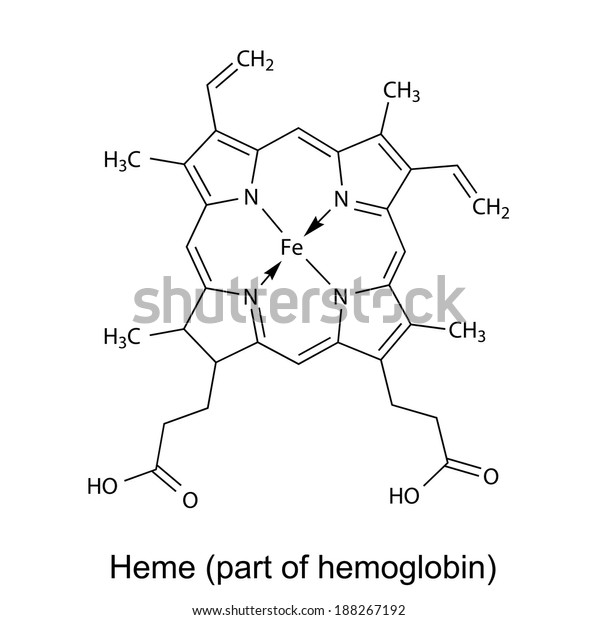 Structural Chemical Formula Heme Molecule 2d Stock Vector (Royalty Free ...