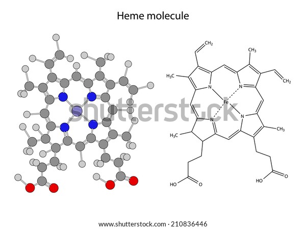 Structural Chemical Formula Heme Molecule 2d Stock Vector (Royalty Free ...