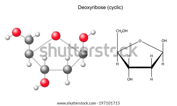 Structural Chemical Formula Model Deoxyribose 2d: Stock-Vektorgrafik ...
