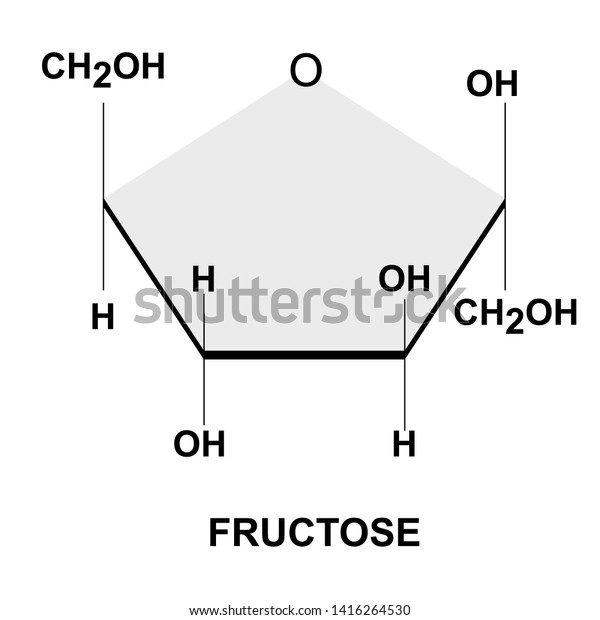 Structural Chemical Formula Model Fructose Stock Vector (Royalty Free ... Structural Chemical Formula Model Fructose Stock Vector (Royalty Free ...