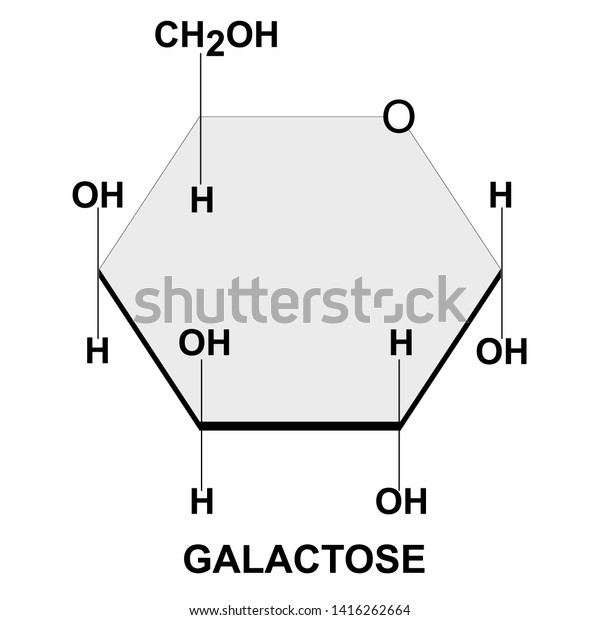 Structural Chemical Formula Model Galactose Stock Vector (Royalty Free ...