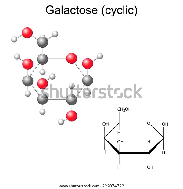 Structural Chemical Formula Model Galactose 2d 스톡 벡터(로열티 프리) 292074722 ...