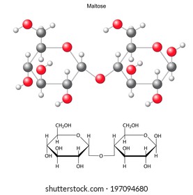 Structural Chemical Formula Model Maltose 2d Stock Vector (Royalty Free ...