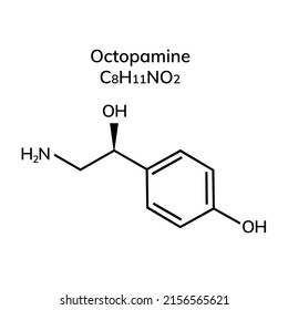 Structural Chemical Formula Octopamine Stock Vector (Royalty Free ...