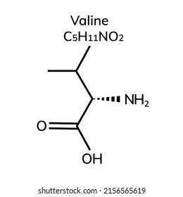 Structural Chemical Formula Valine Stock Vector (Royalty Free ...