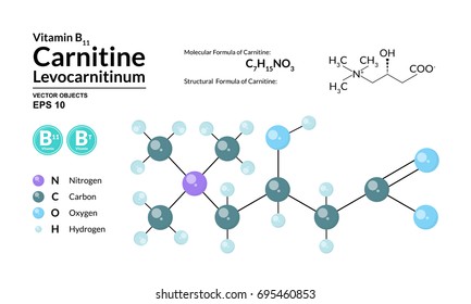 191 Carnitine structure Images, Stock Photos & Vectors | Shutterstock