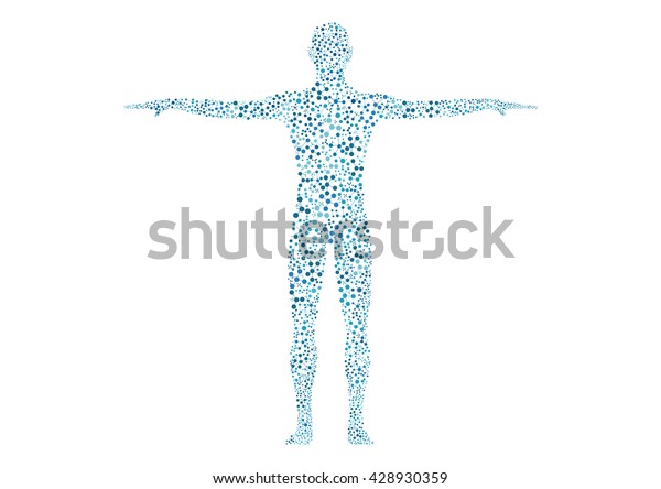 Structure Molecule Man Abstract Model Human Stock Vector (Royalty Free ...