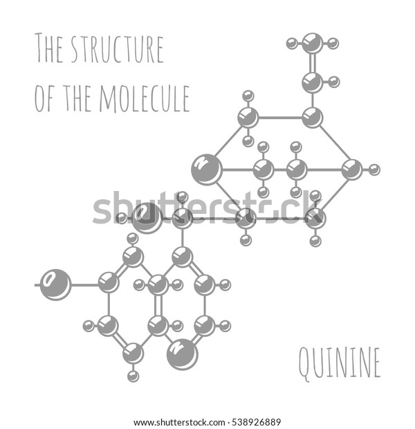 Structure Polymeric Molecules Polymers Chemical Production Stock Vector ...